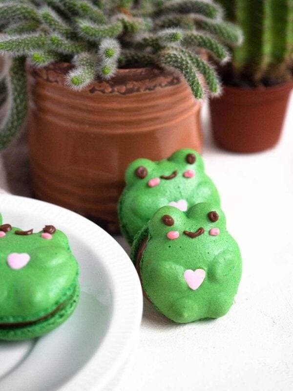 TikTok Frog Macarons: Cute Character Macaron Recipe