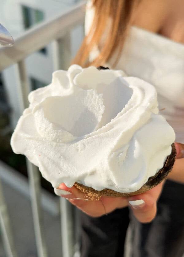 CREAMIEST No Churn Coconut Ice Cream - Catherine Zhang