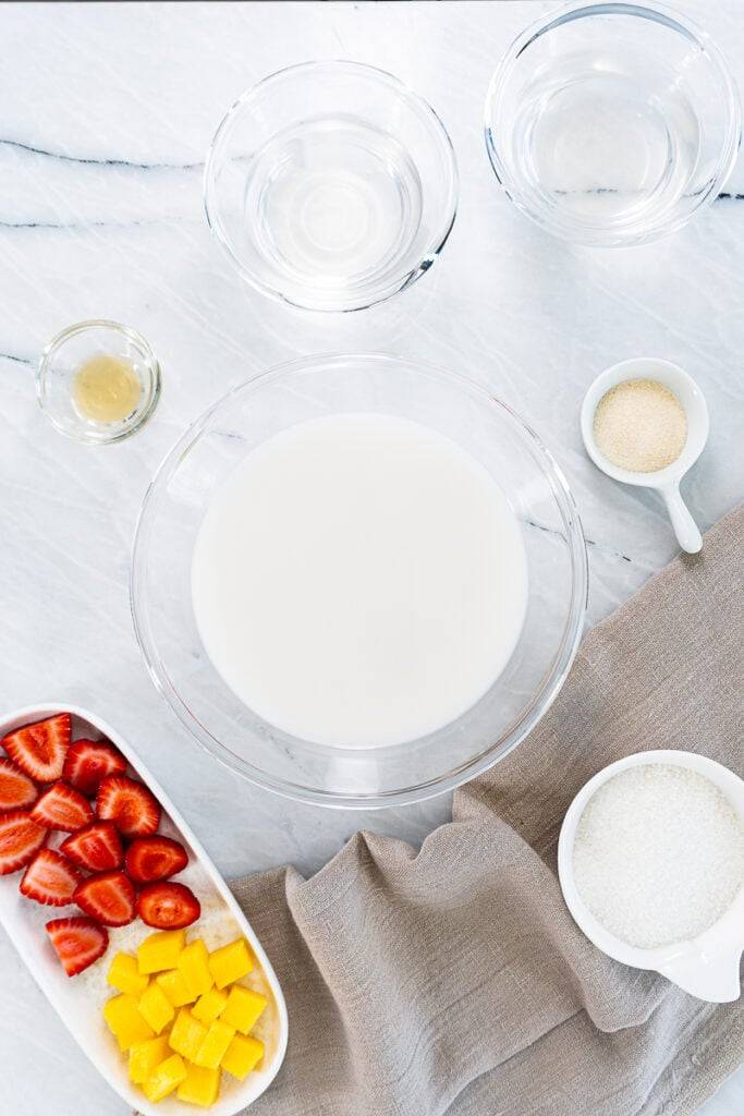 The Best Coconut Jelly Recipe – Step-by-Step Guide