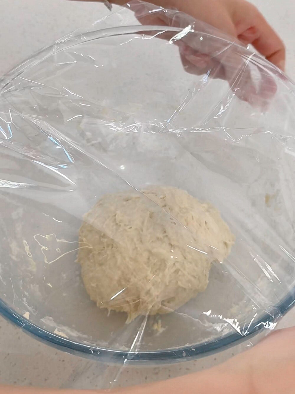 No Knead Easy Salt Bread (Shio Pan) - Catherine Zhang