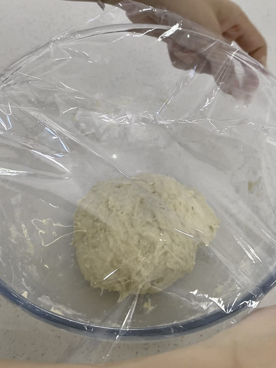 No Knead Easy Salt Bread (Shio Pan) - Catherine Zhang