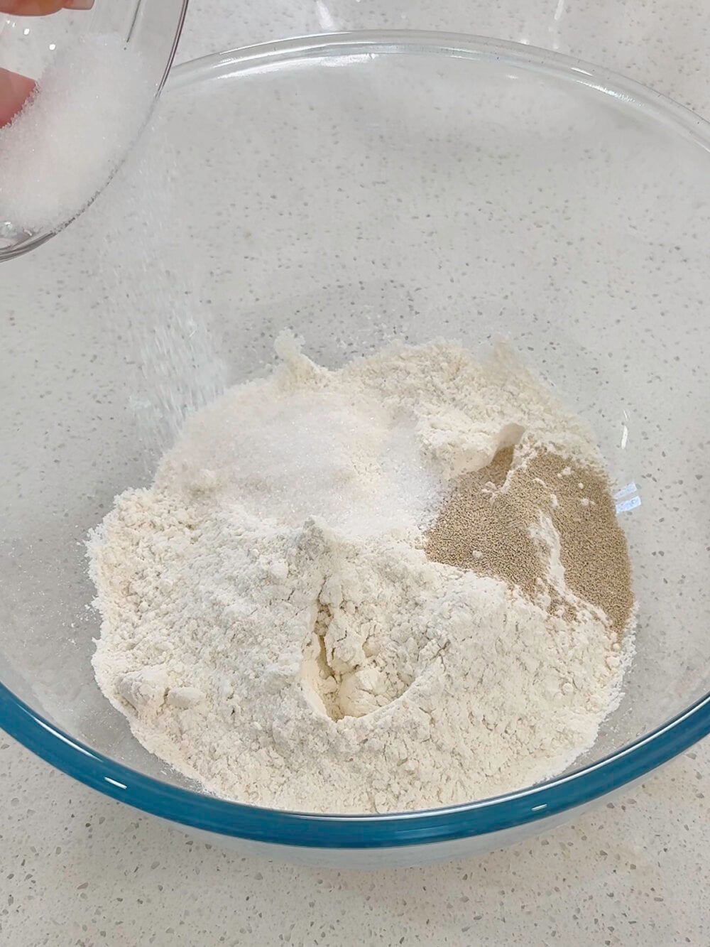 No Knead Easy Salt Bread (Shio Pan) - Catherine Zhang