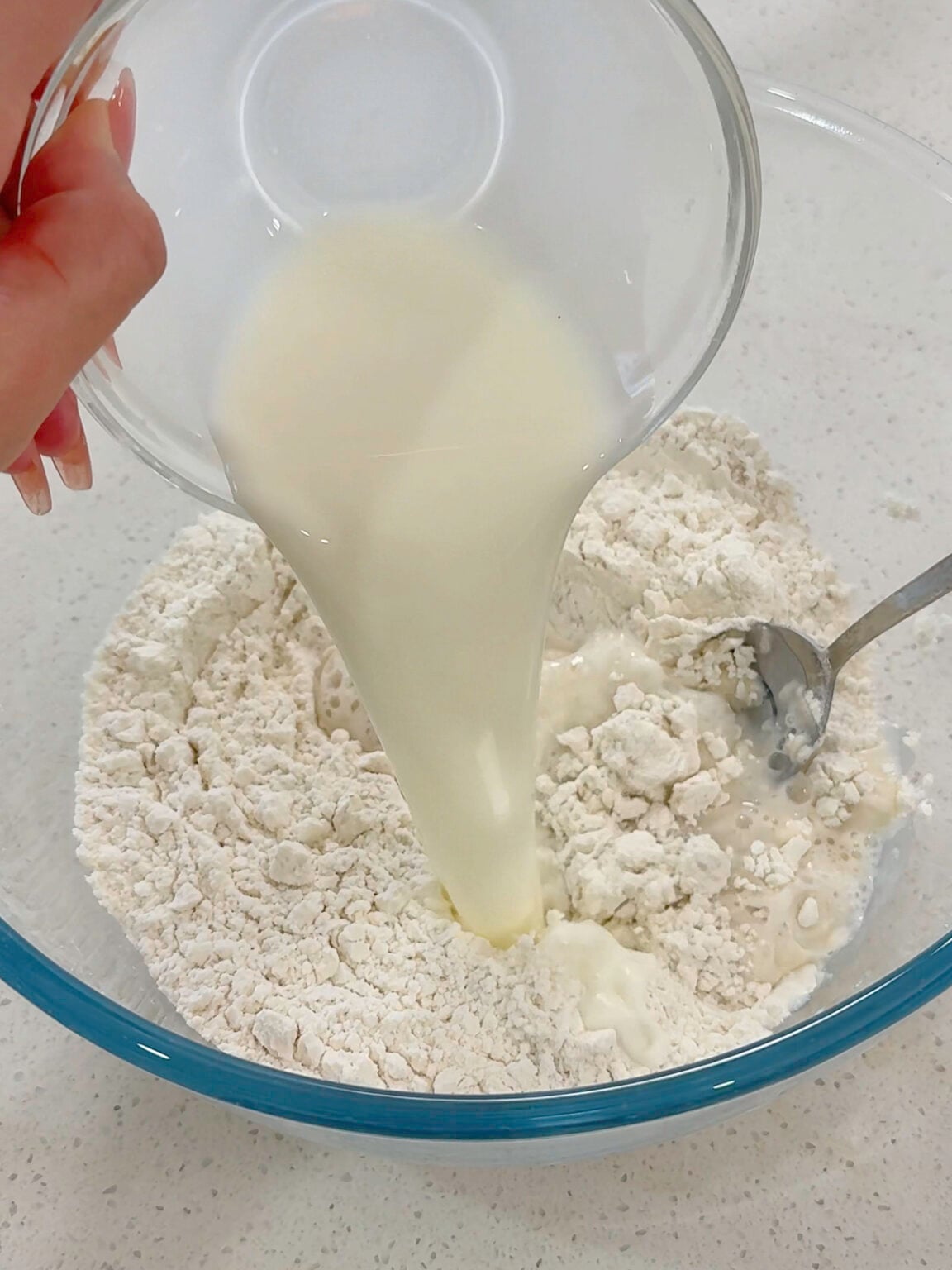 No Knead Easy Salt Bread (Shio Pan) - Catherine Zhang
