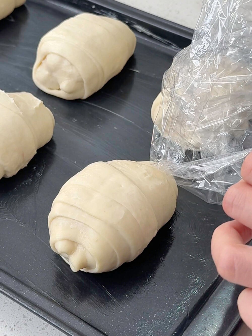 No Knead Easy Salt Bread (Shio Pan) - Catherine Zhang
