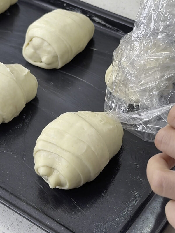 No Knead Easy Salt Bread (Shio Pan) - Catherine Zhang