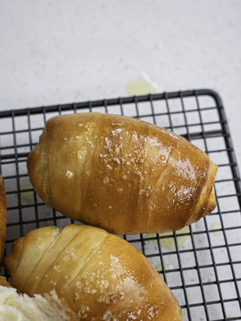 No Knead Easy Salt Bread (Shio Pan) - Catherine Zhang